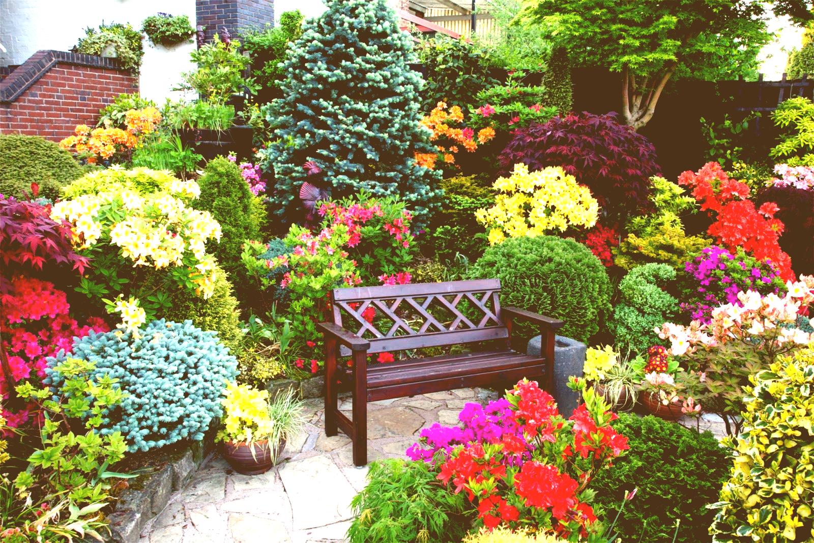 Beautiful Home Gardens